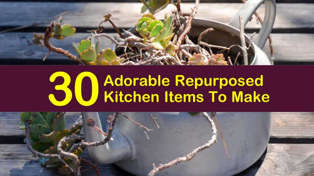 30 Adorable Repurposed Kitchen Items To Make